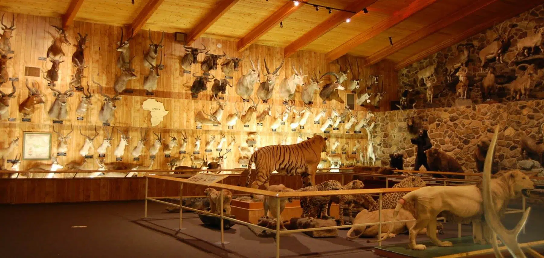 International Wildlife Museum - Office du tourisme des USA